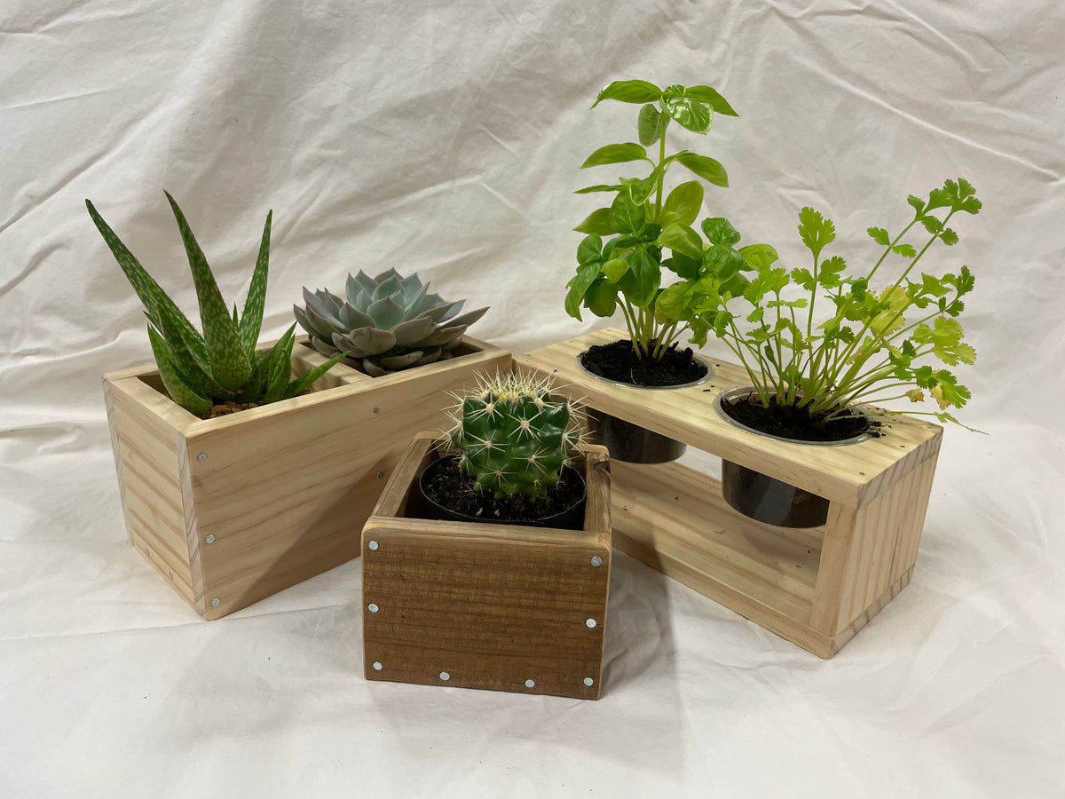 Mini Planter Boxes – Perth Kids Shed