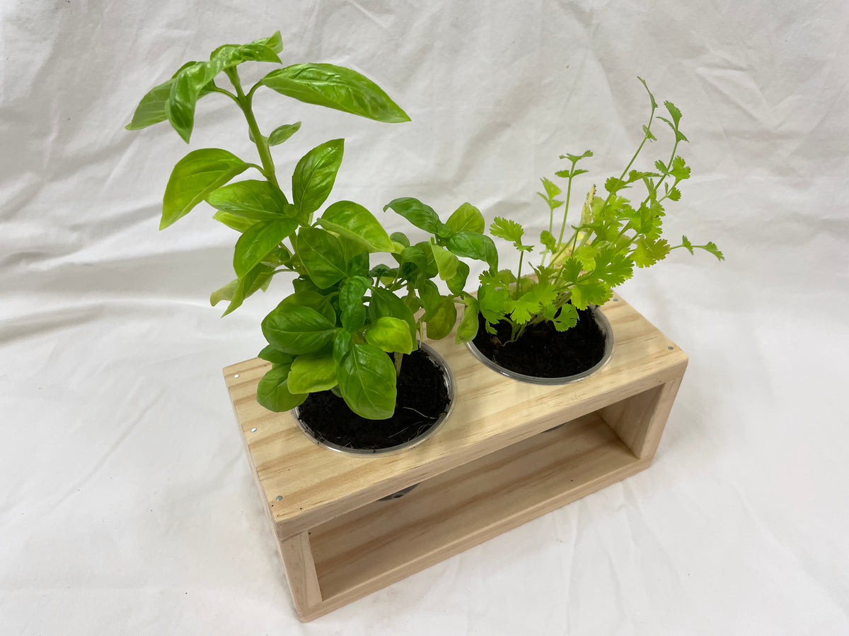 Mini Planter Boxes – Perth Kids Shed